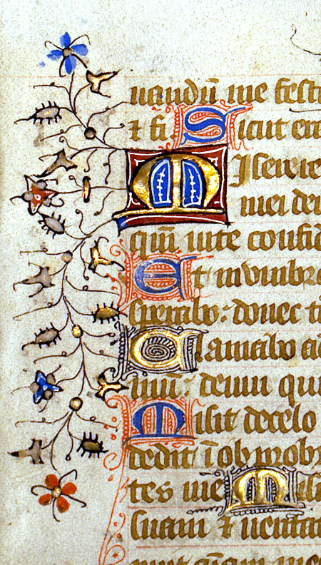 Medieval Book of Hours Leaf - Elegant rinceaux border [IM-10597] - $0. ...