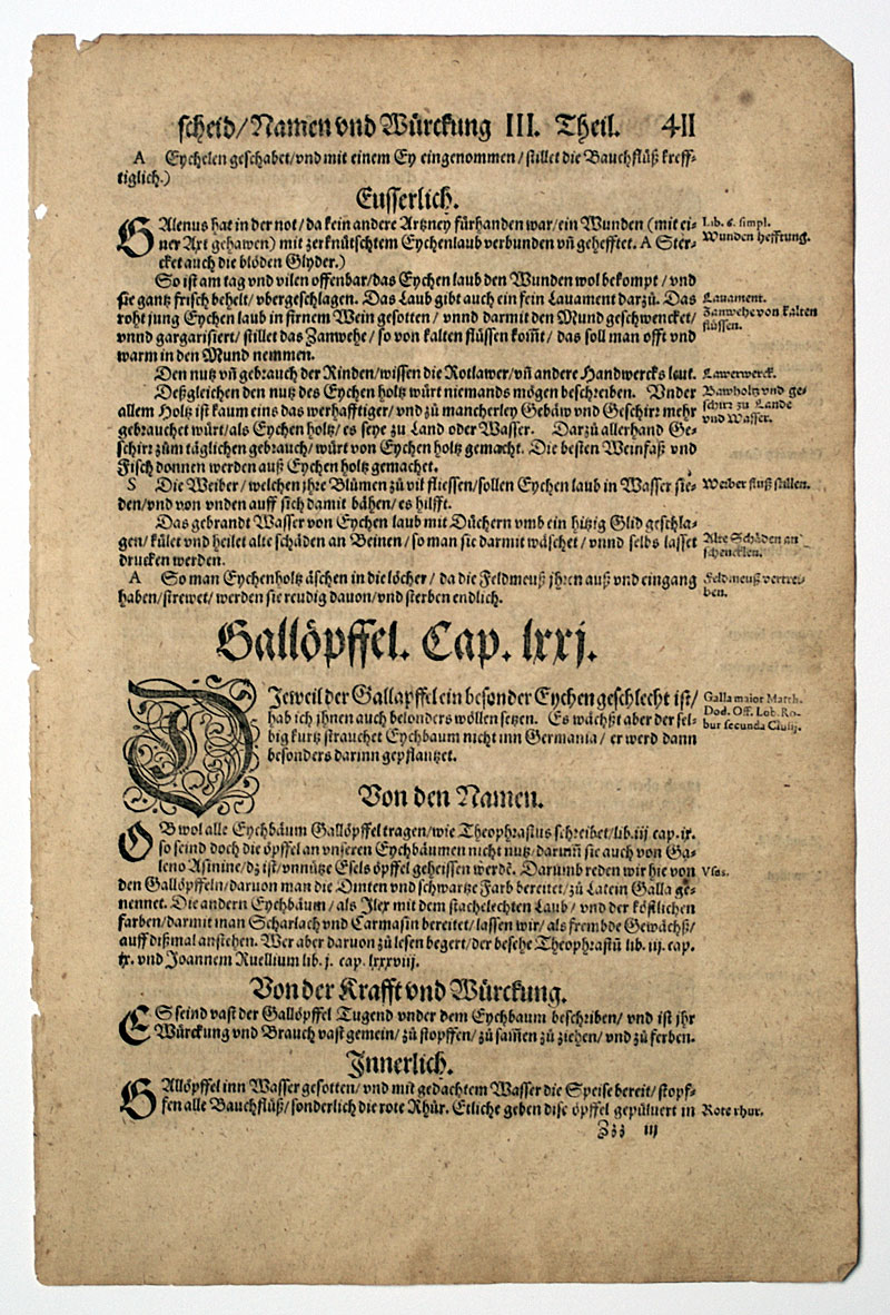 c 1546 H Bock 1st Edition - Gall-nut or Oak-apple [B-1221] - $0.00 ...