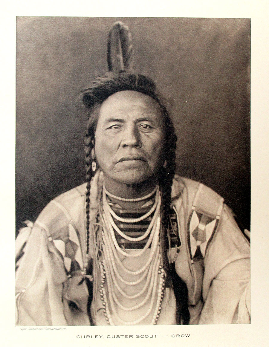 c 1913-25 Wanamaker - Curley, Custer Scout - Crow [I-351] - $0.00 ...