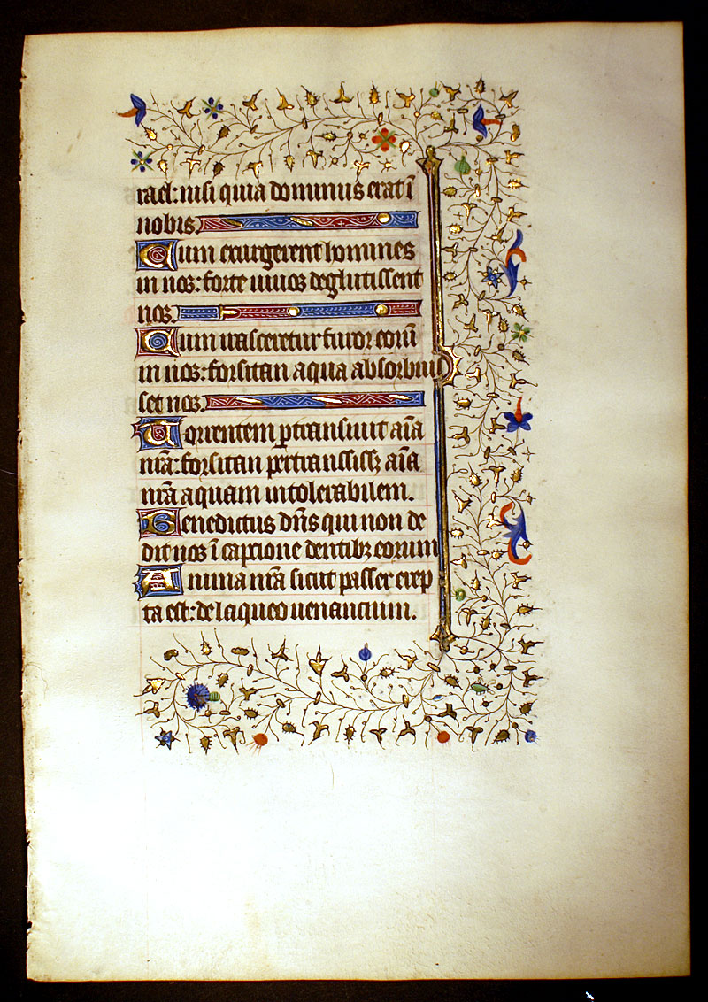 Medieval Book of Hours Leaf - Psalms - Elaborate borders [IM-10717 ...
