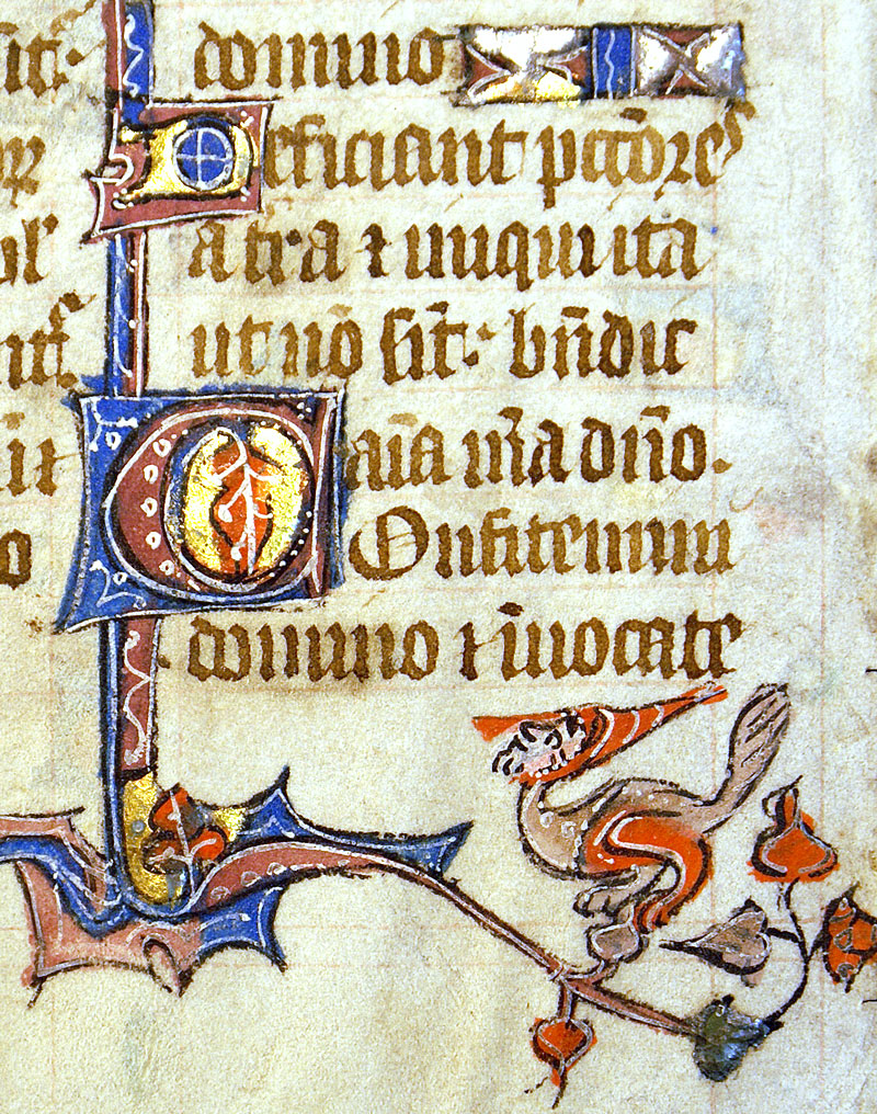Medieval Psalter Leaf - England - Creatures [IM-11022] - $0.00 ...