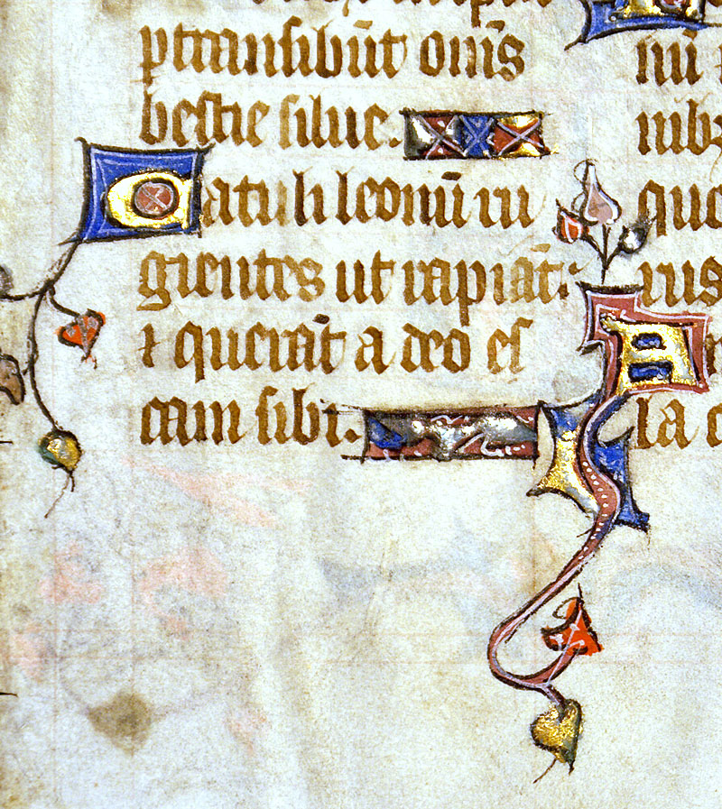 Medieval Psalter Leaf - England - Creatures [IM-11022] - $0.00 ...