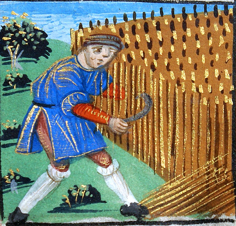 Book of Hours Calendar Leaf - July & August, c 1490 [IM-2800] - $0.00 ...