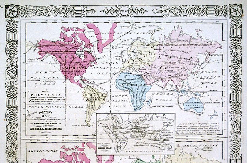 c 1864 World Map - Distribution of Animals, Industry, Currents [M-12874 ...