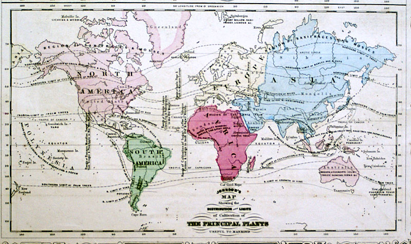 c 1864 World Map - Meteorology, Land & Co-tidal Lines, Plants [M-12875 ...